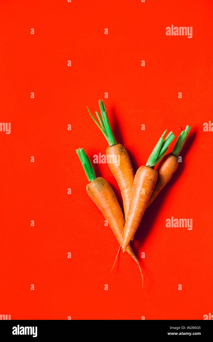 A few fresh carrots on red background. Rustic style. Farming Stock ...