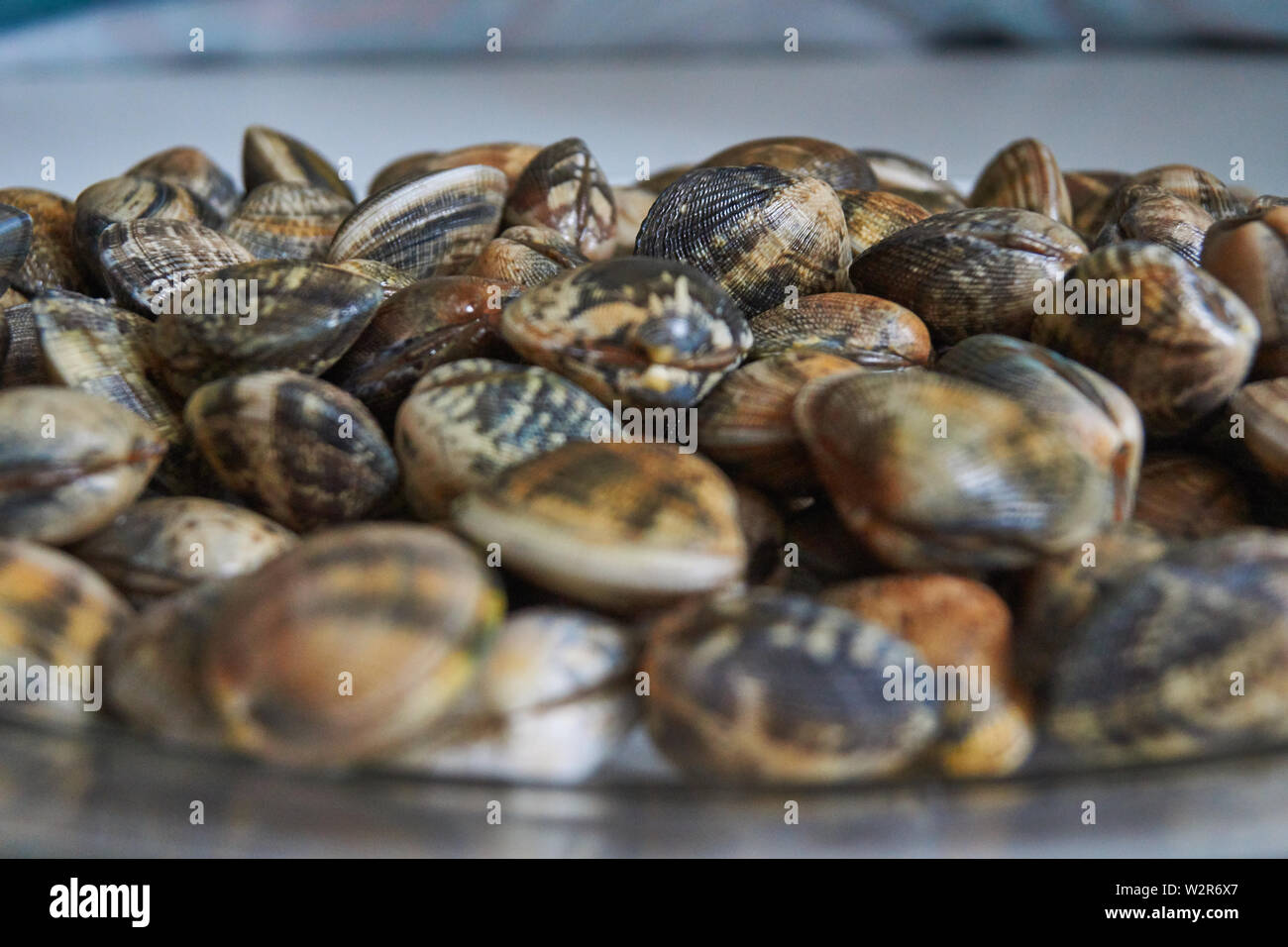 Molluscs as food hi-res stock photography and images - Alamy