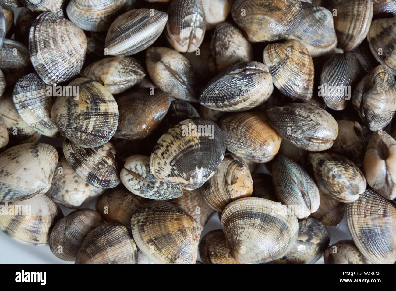Molluscs as food hi-res stock photography and images - Alamy