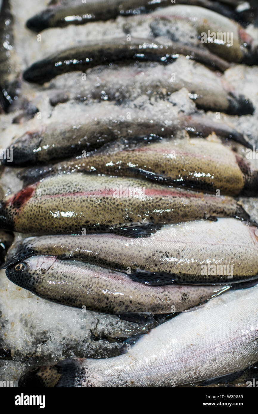 Fresh caught fish for sale on a fish market stall Stock Photo - Alamy