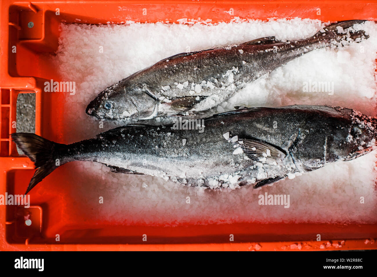 Two fresh fish on a fish market stall on ice Stock Photo - Alamy