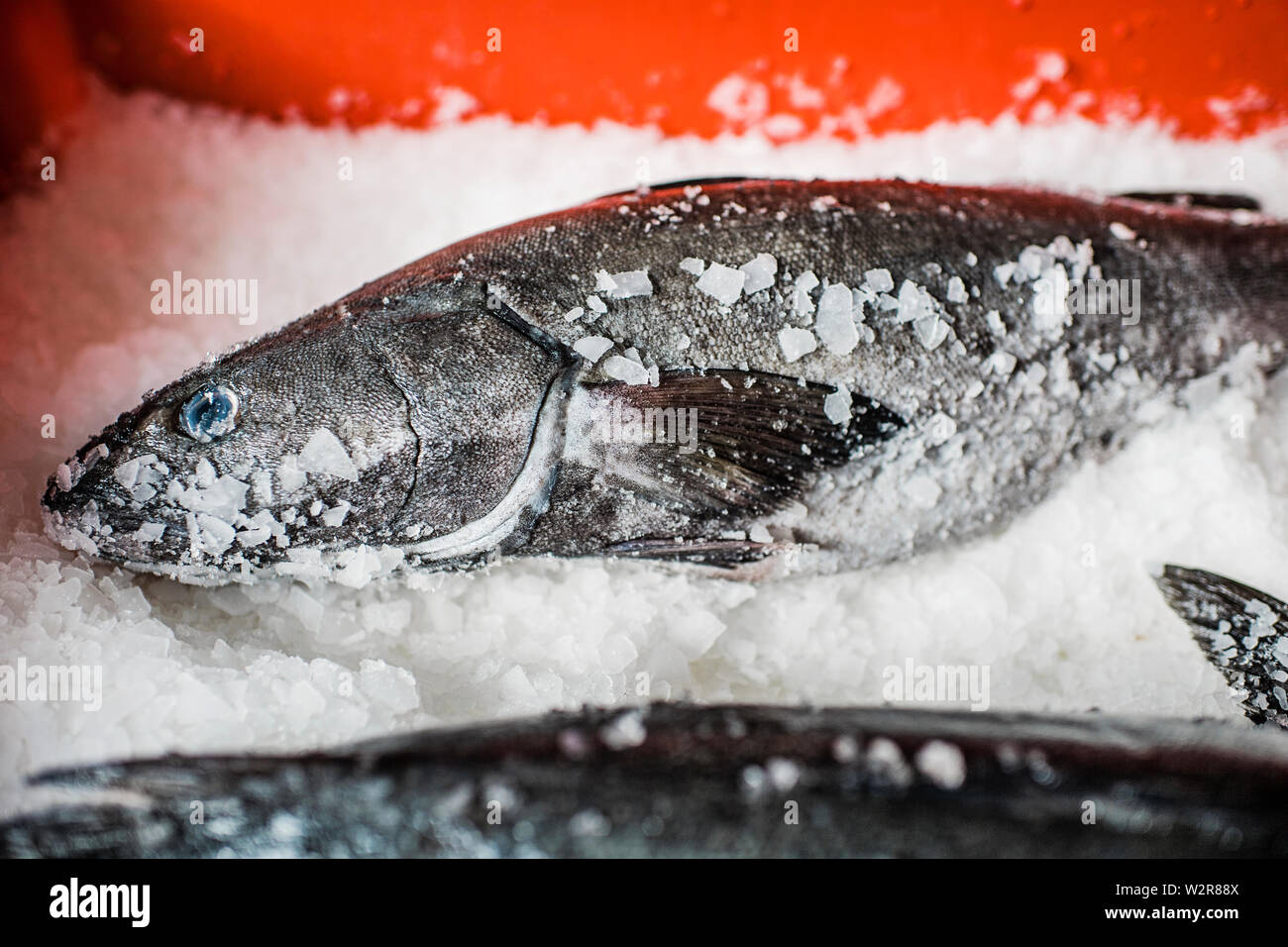 Two fresh fish on a fish market stall on ice Stock Photo - Alamy