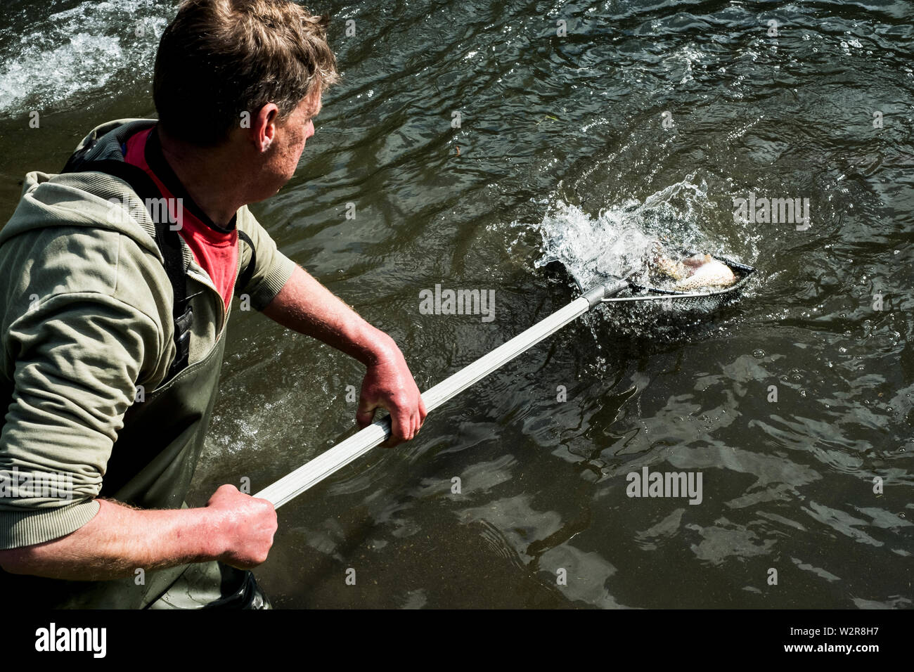 Man wearing waders hi-res stock photography and images - Alamy