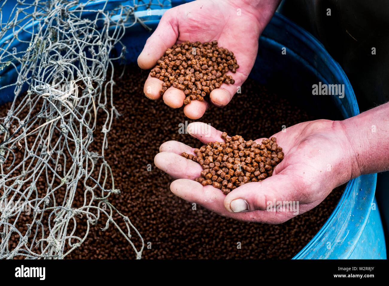 Trout pellets hi-res stock photography and images - Alamy