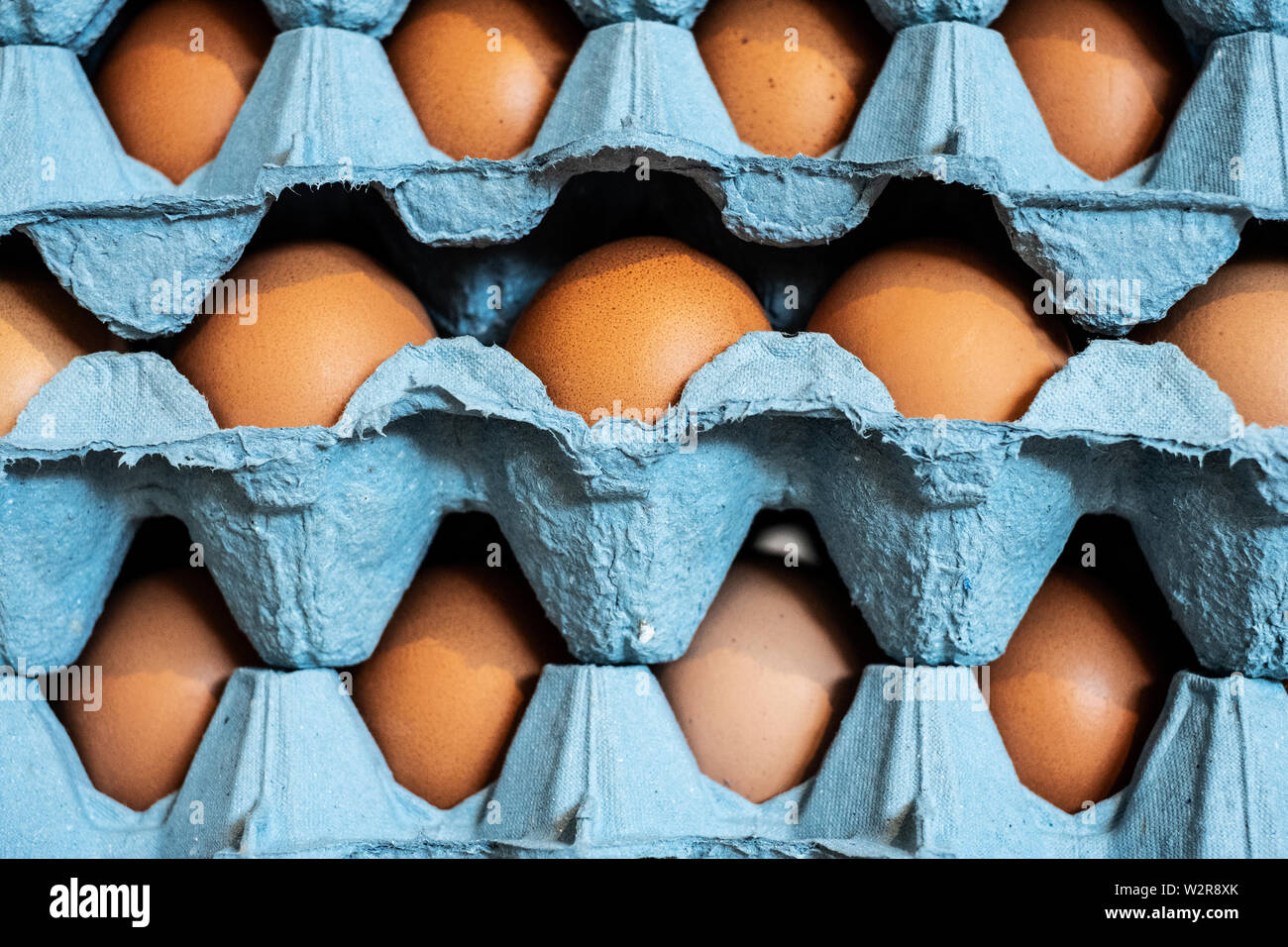 Full frame close up of a stack of blue cartons with brown eggs Stock ...