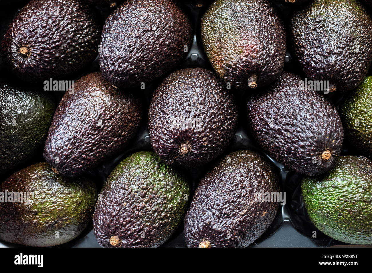 Avocados small hi-res stock photography and images - Alamy