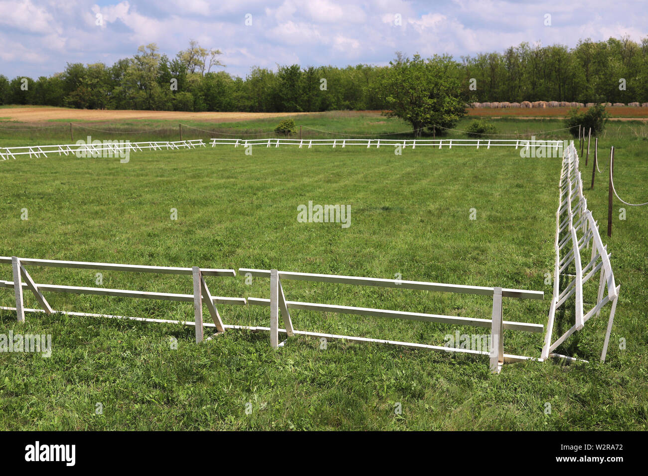 Green grass covered equestrian horse arena close up white railing ...