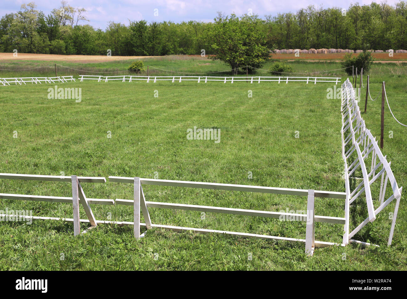 Green grass covered equestrian horse arena close up white railing ...