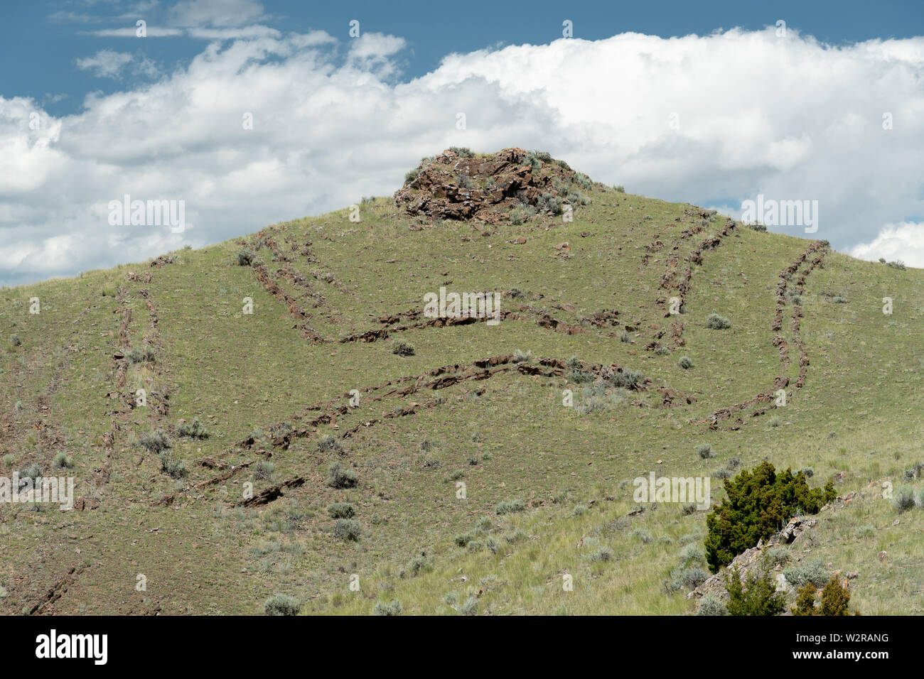 Synclinal and anticlinal folds in beds of Triassic Dinwoody Formation ...