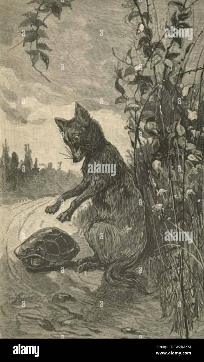 Brer Fox tackles Brer Tarrypin, 1881 no caption Stock Photo - Alamy