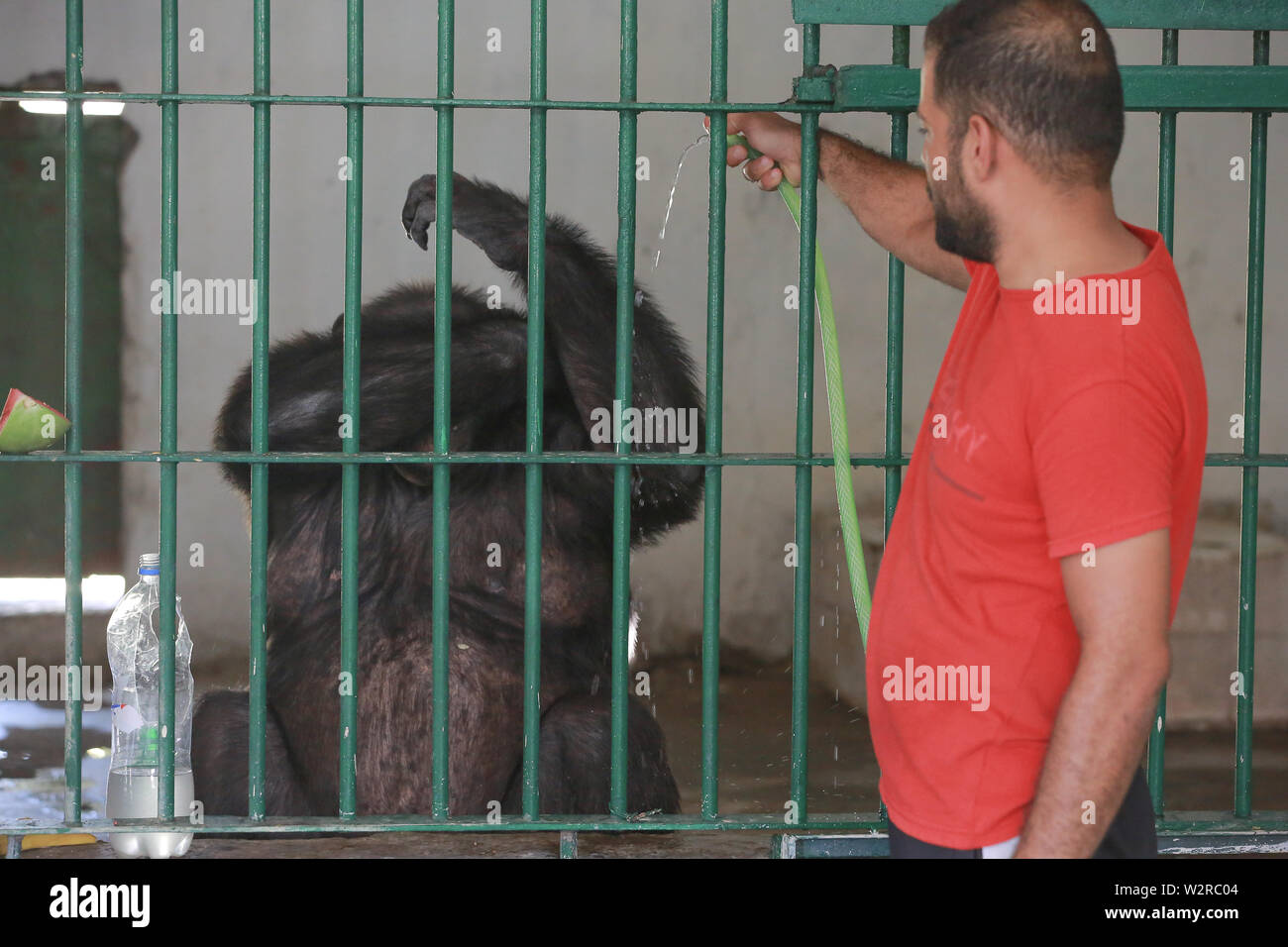 Iraq the baghdad zoo hi-res stock photography and images - Alamy