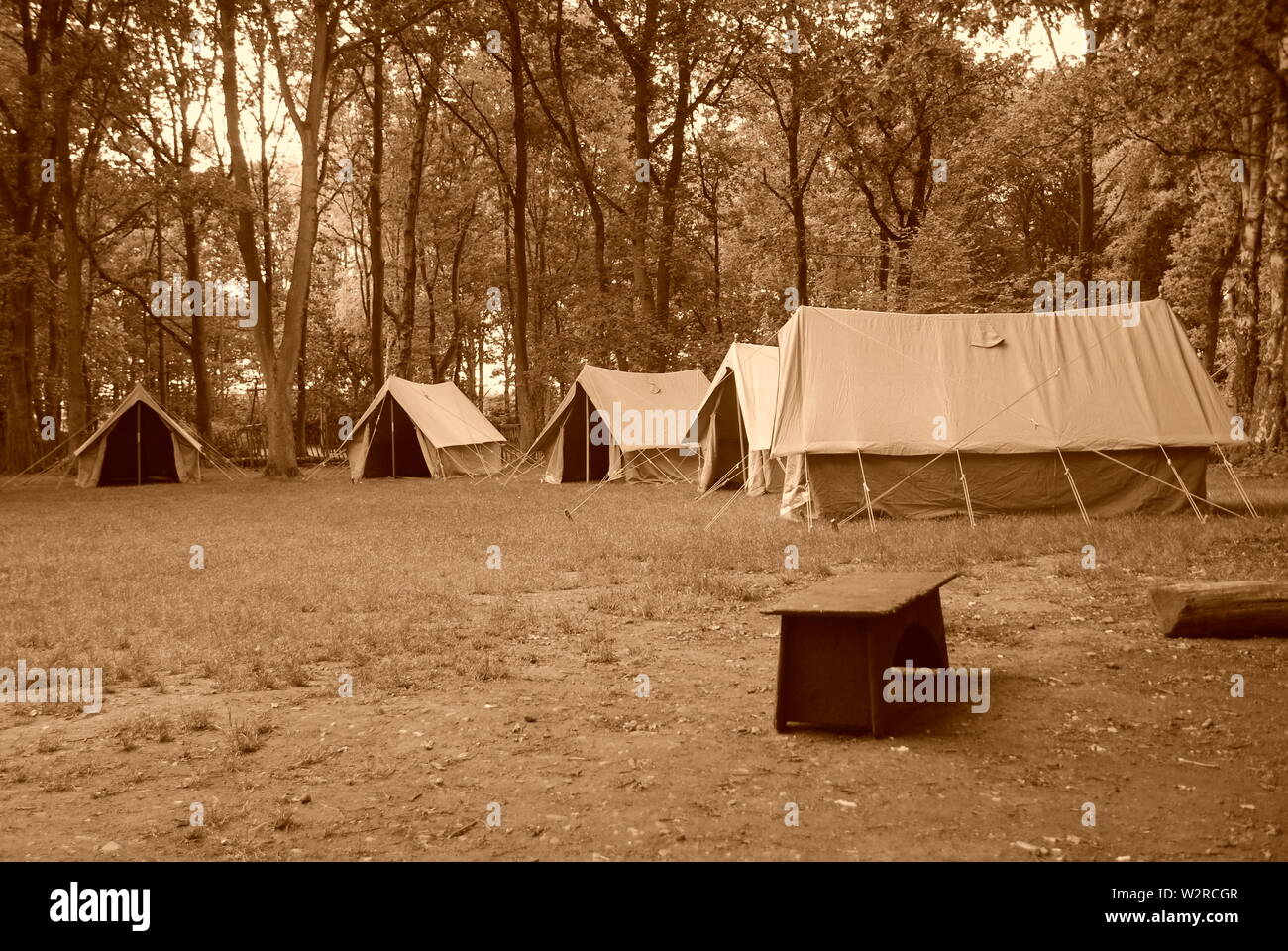 Boy scouts and tents hi-res stock photography and images - Alamy