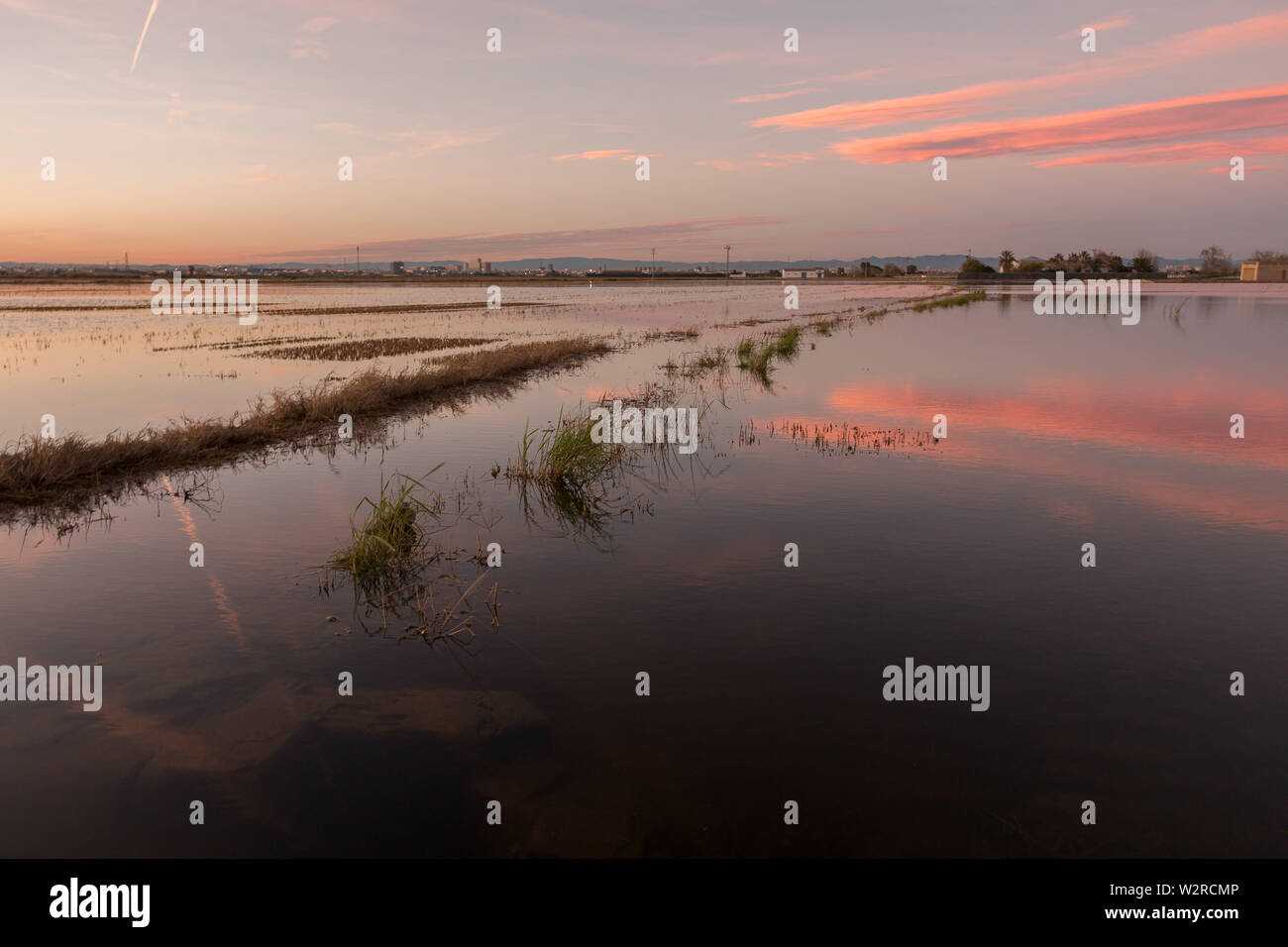 Landscape and reflections on water in Albufera lagoon, in Natural Park ...
