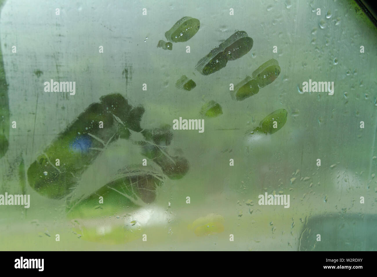 Car fogged window hand hi-res stock photography and images - Alamy