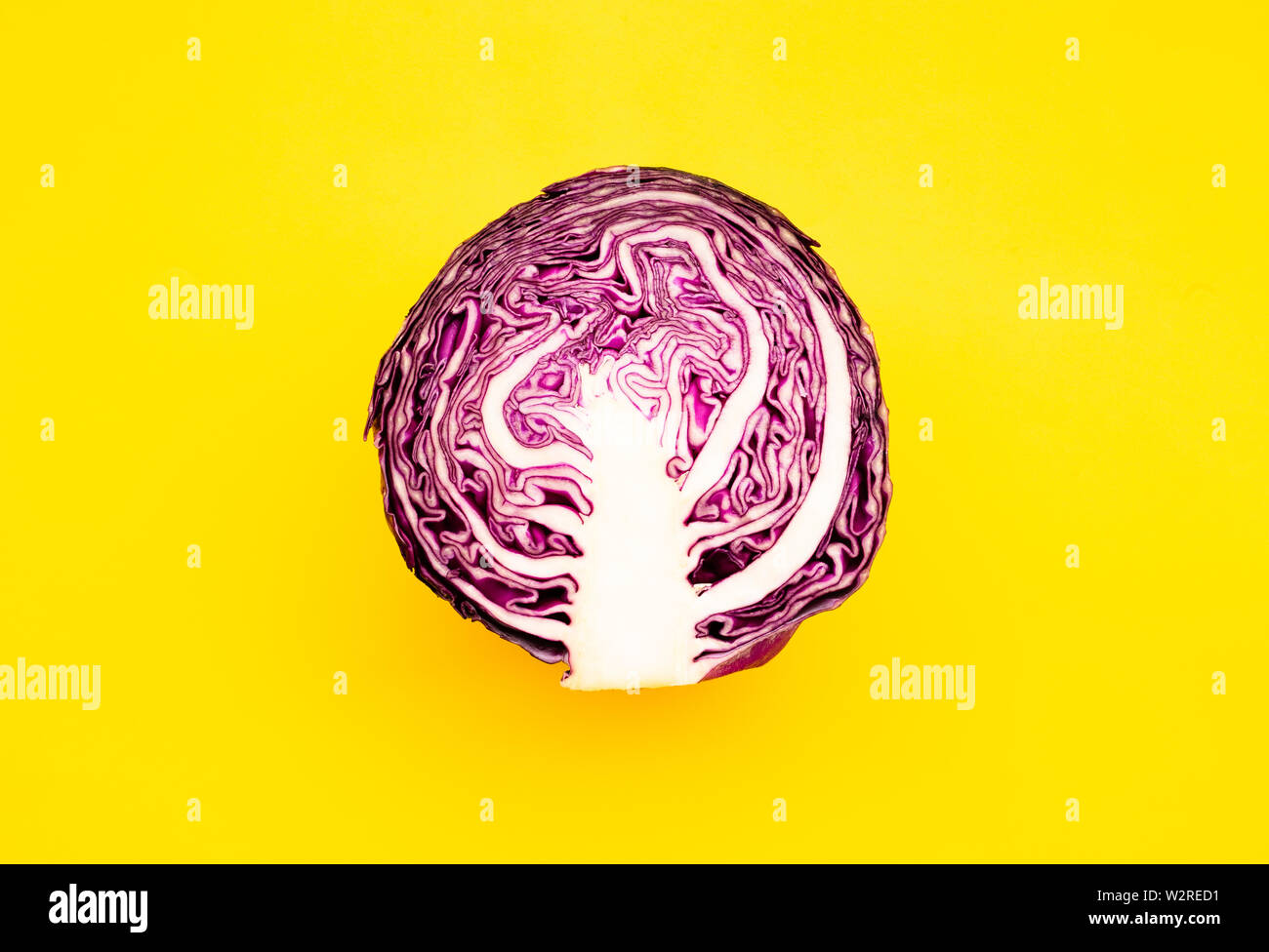 Fresh of purple cabbage (half sliced)on color background.Natural ...
