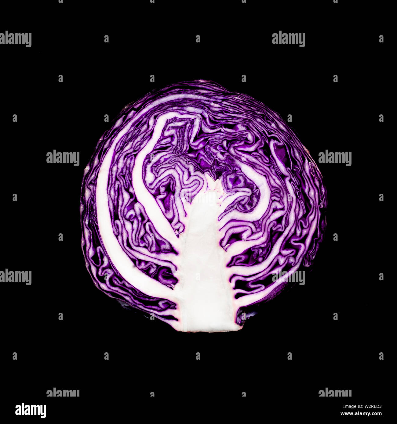 Fresh of purple cabbage (half sliced)on color background.Natural ...