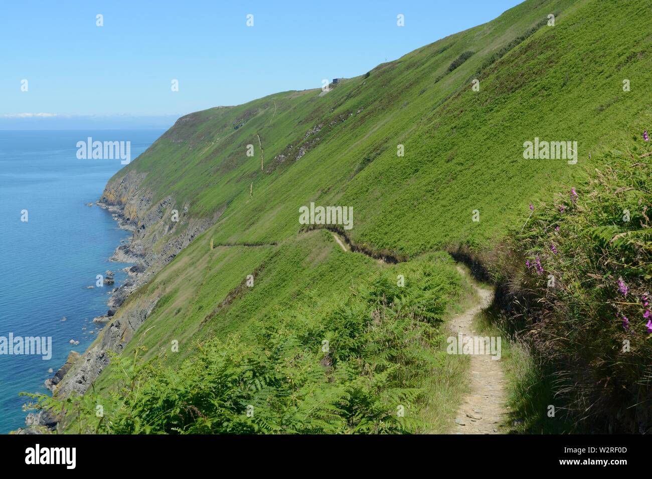 Llangrannog wales hi-res stock photography and images - Alamy