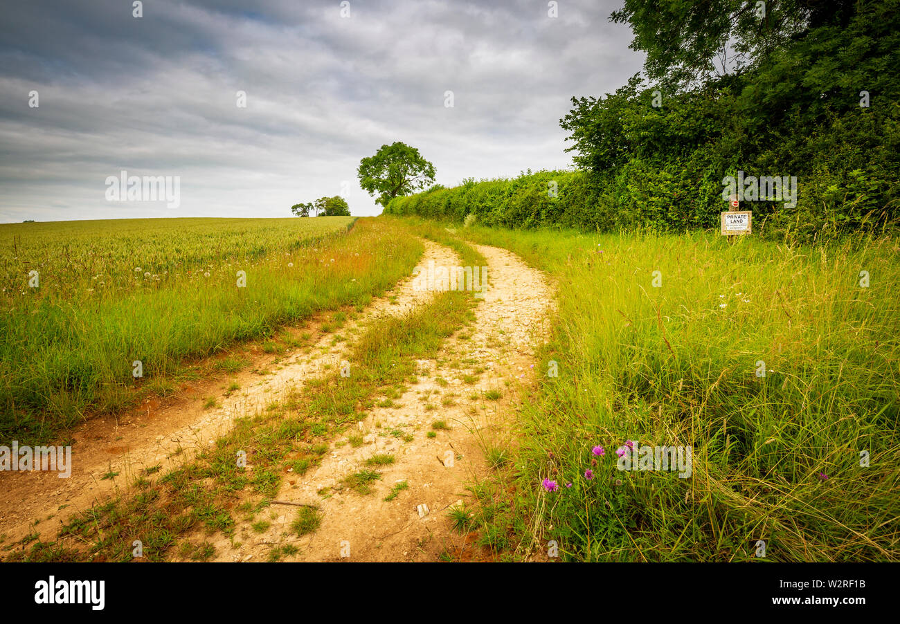 Cotswold field hi-res stock photography and images - Alamy