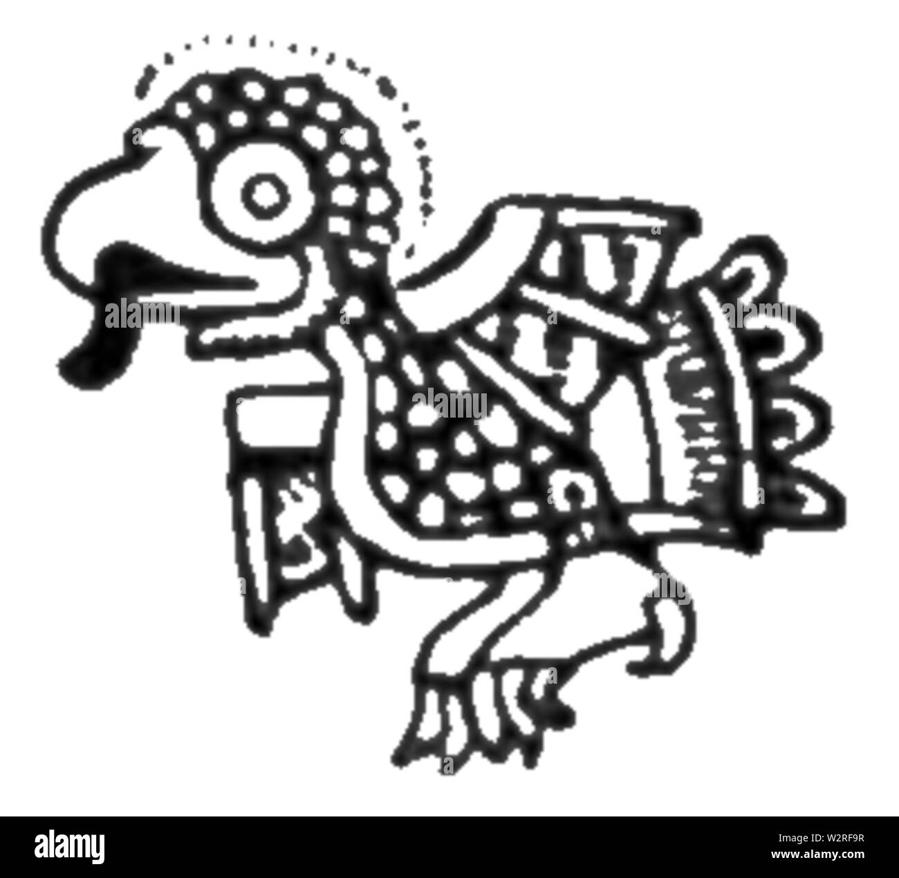 Bird ground Cut Out Stock Images & Pictures - Alamy