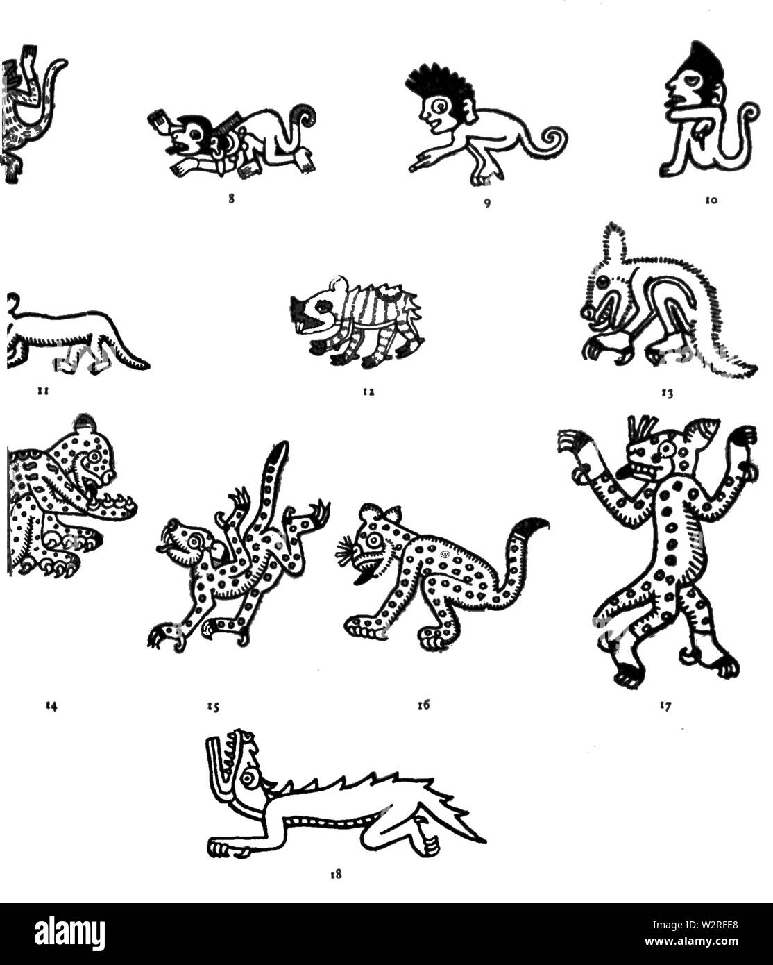 Different species animals Cut Out Stock Images & Pictures - Alamy