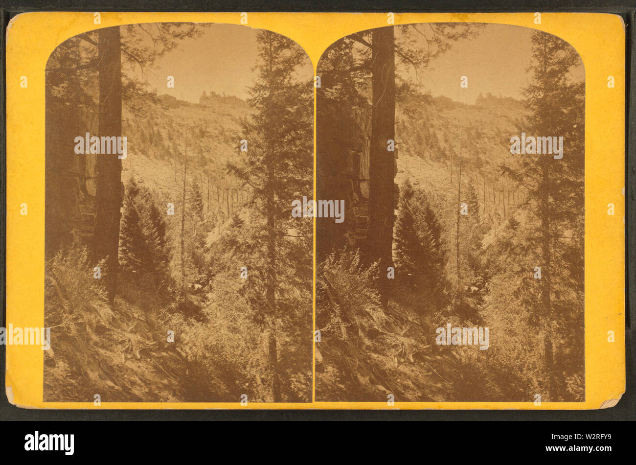 Cactus Creek, by E O Beaman Stock Photo - Alamy