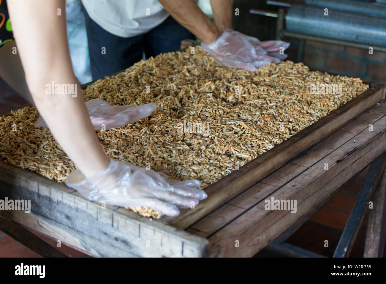 Woman eating rice cake hi-res stock photography and images - Alamy