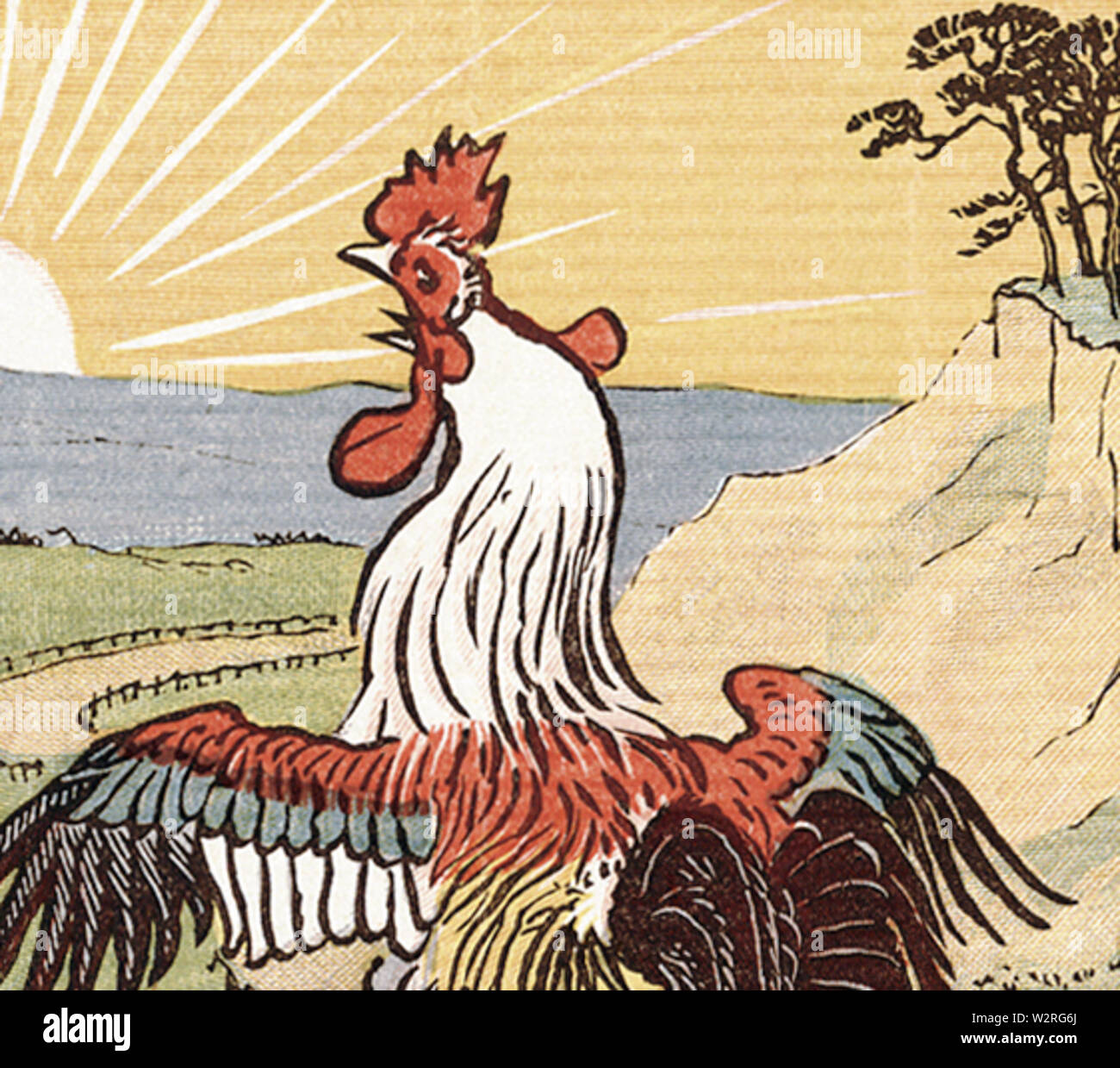 Rooster collection hi-res stock photography and images - Alamy