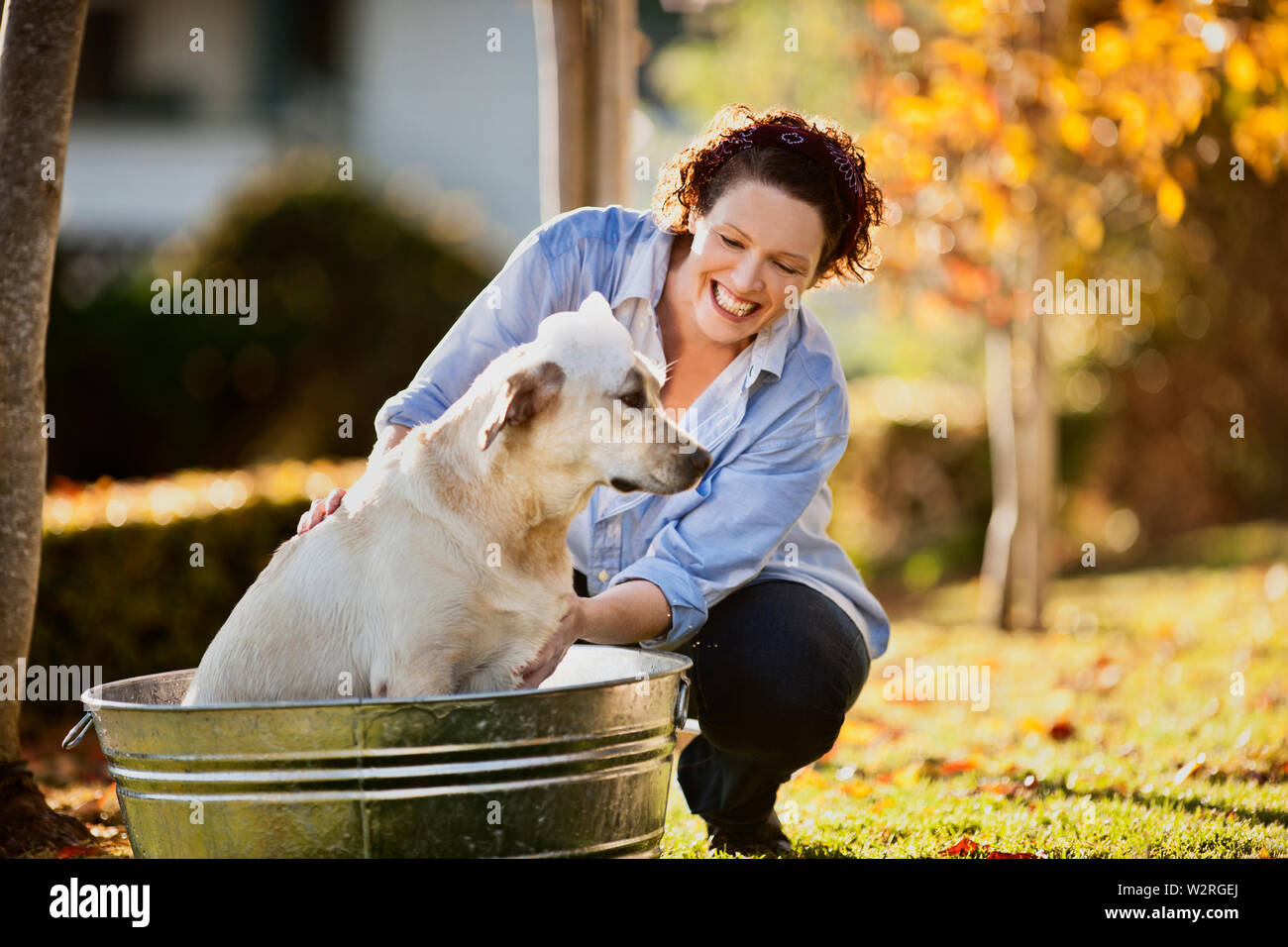 Mid-adult woman washing her dog in the backyard Stock Photo - Alamy