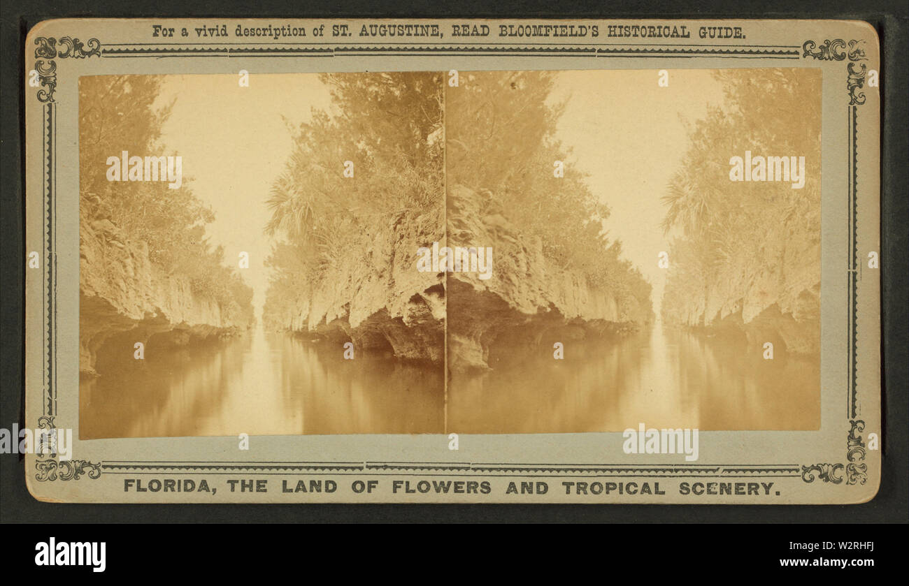 Canal in the southern Part of Florida, from Robert N Dennis collection ...