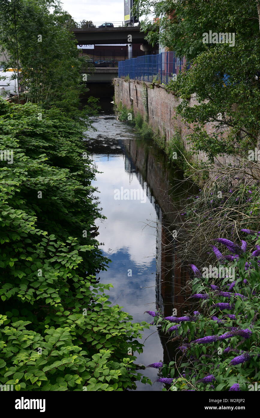 River Medlock in Manchester Stock Photo - Alamy