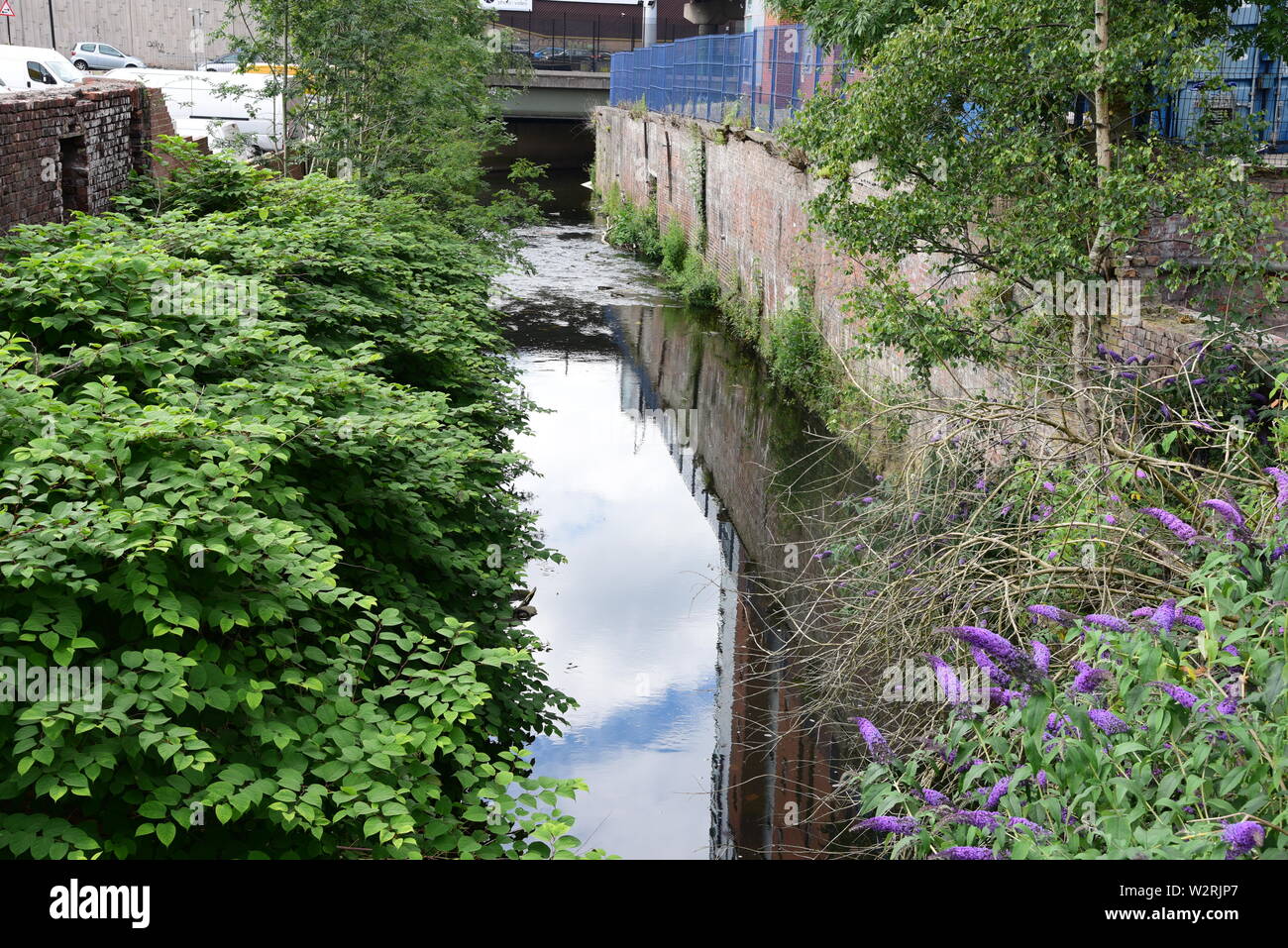 River Medlock in Manchester Stock Photo - Alamy