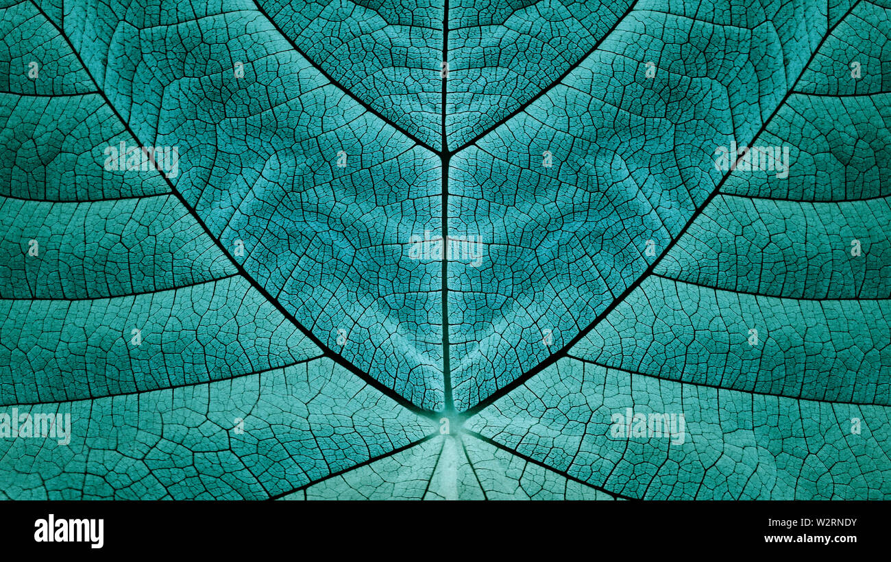 Biomimicry Nature High Resolution Stock Photography and Images - Alamy