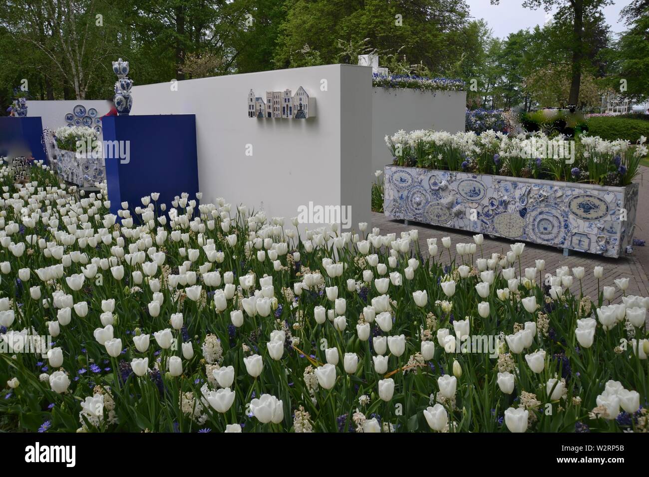 Dutch spring flowers hi-res stock photography and images - Alamy