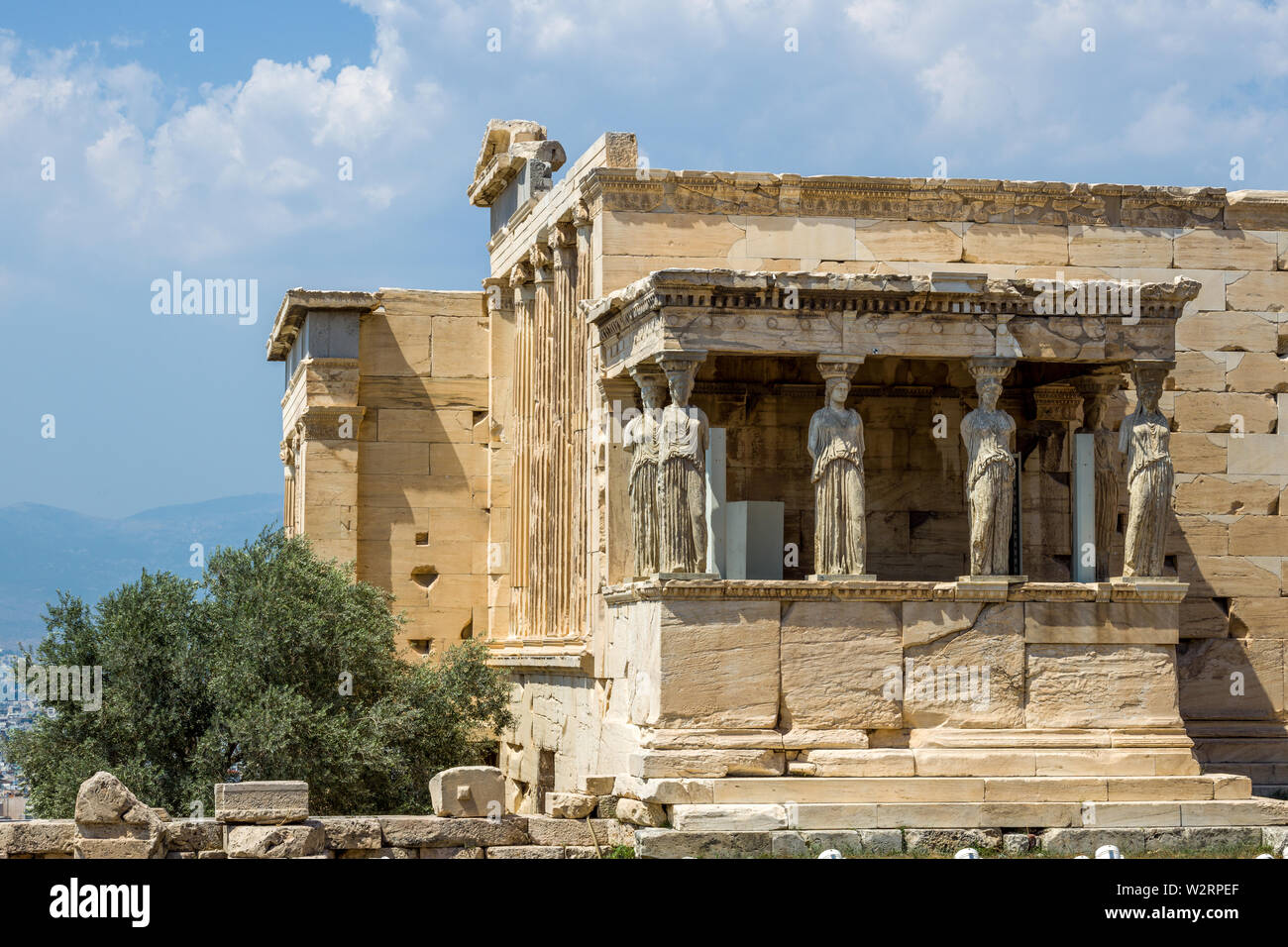 Athens, Greece, 9 July 2019 - The sacred "Tree of Life", an ancient ...