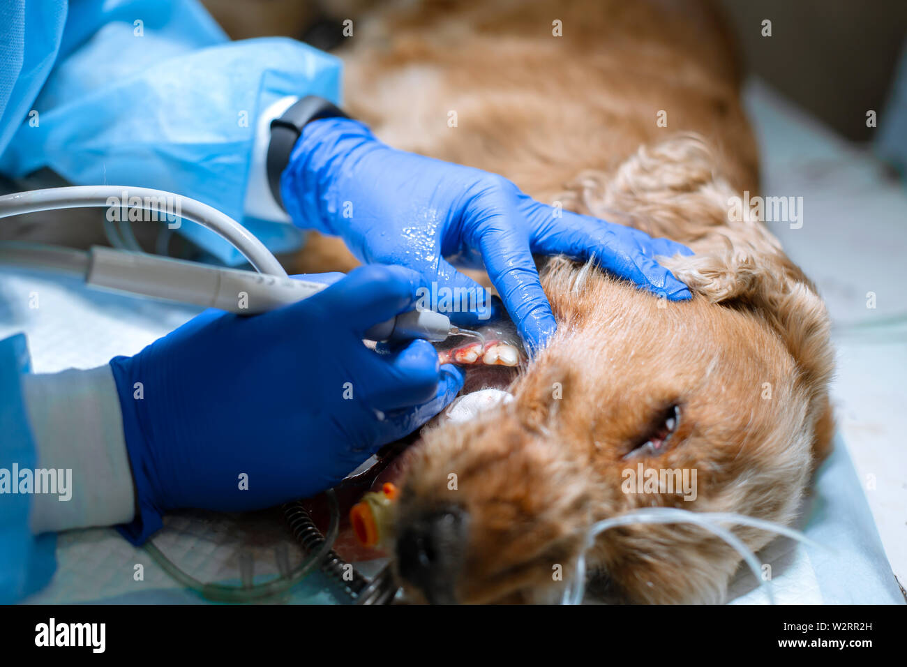 Sensors Health High Resolution Stock Photography and Images - Alamy