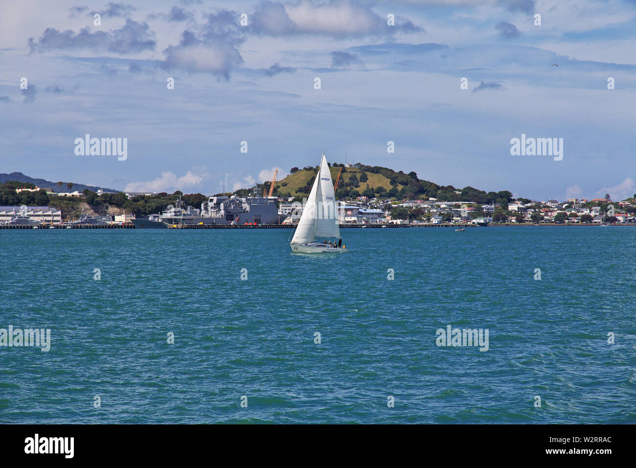 Auckland city of sails, New Zealand Stock Photo - Alamy