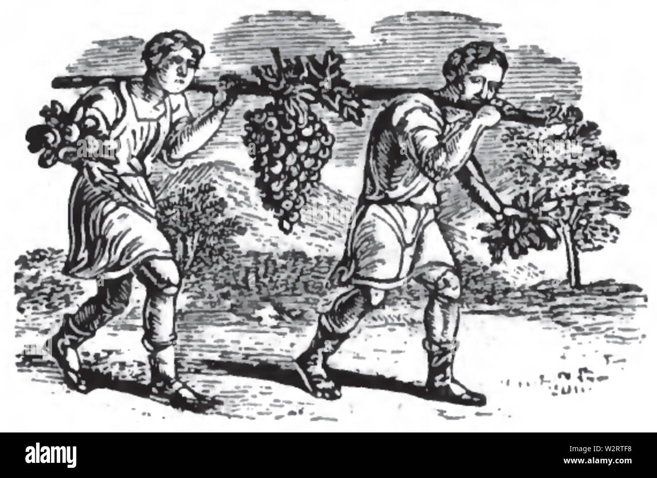 16 picture Cut Out Stock Images & Pictures - Alamy