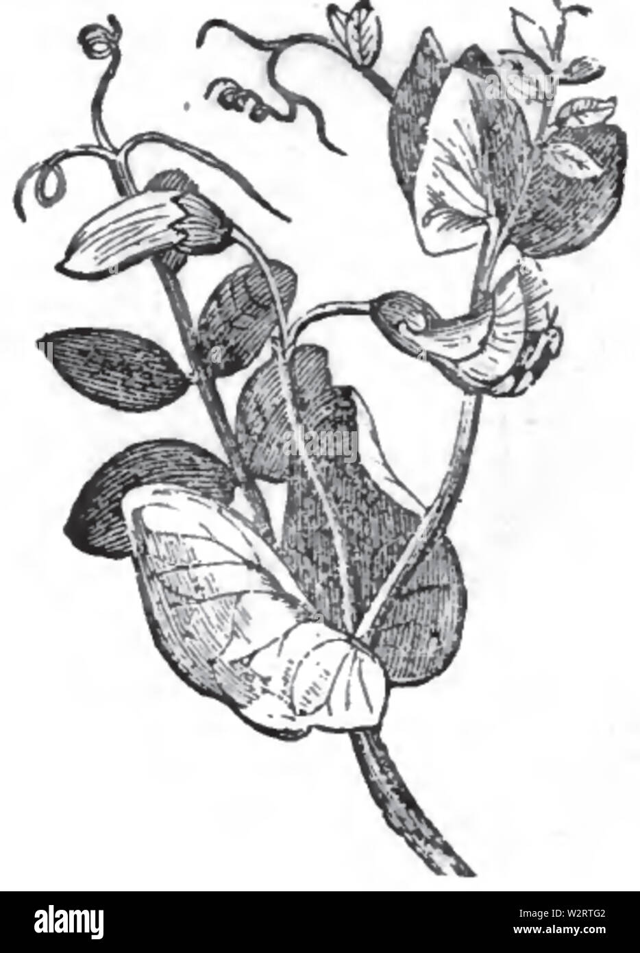 Childrens book design Cut Out Stock Images & Pictures - Alamy