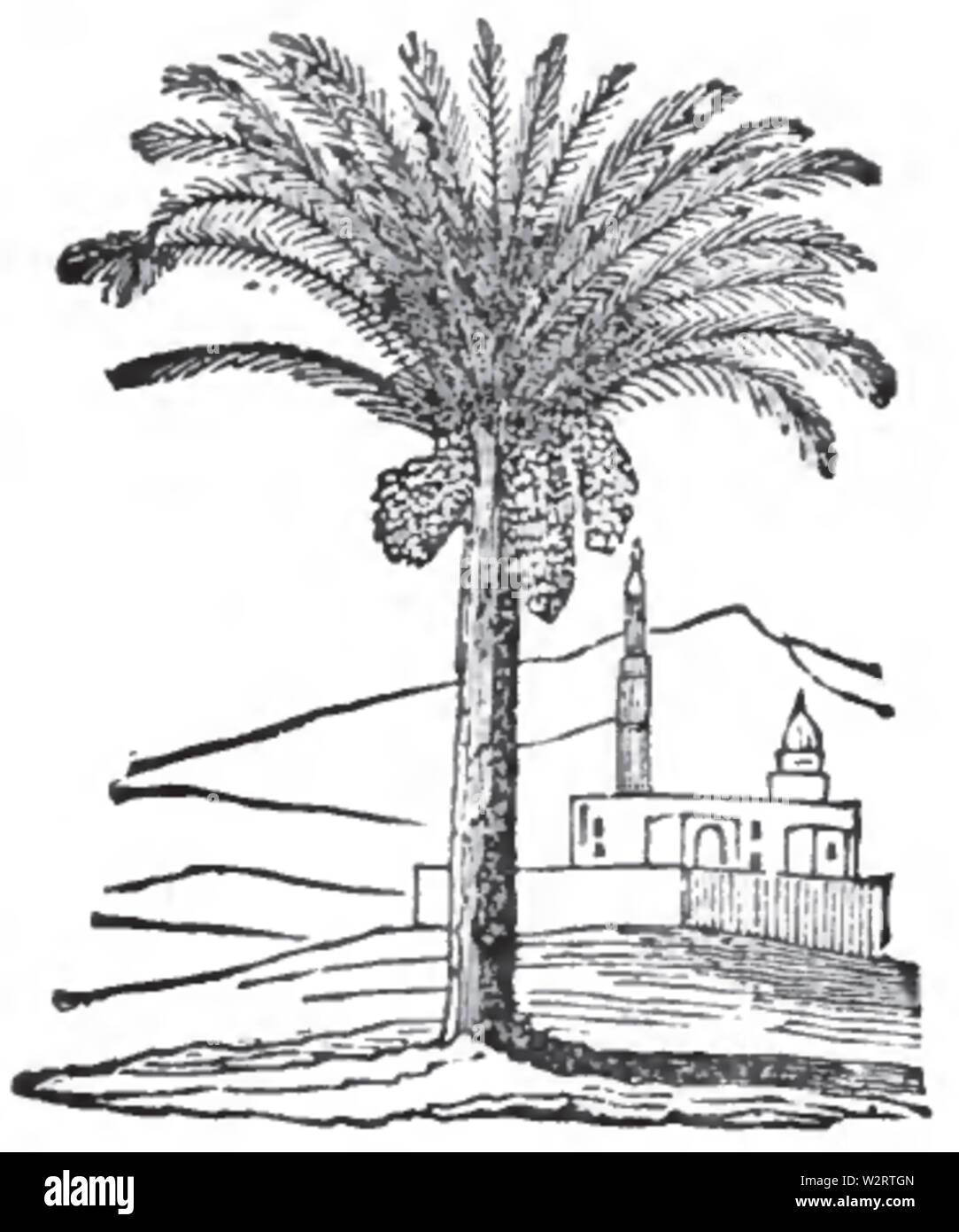 Child's picture book pg 18 Stock Photo - Alamy