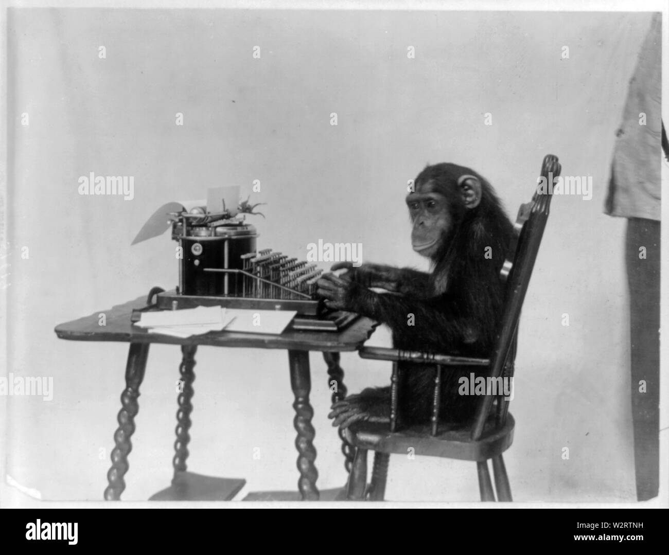 Human interaction with chimpanzee hi-res stock photography and images - Alamy