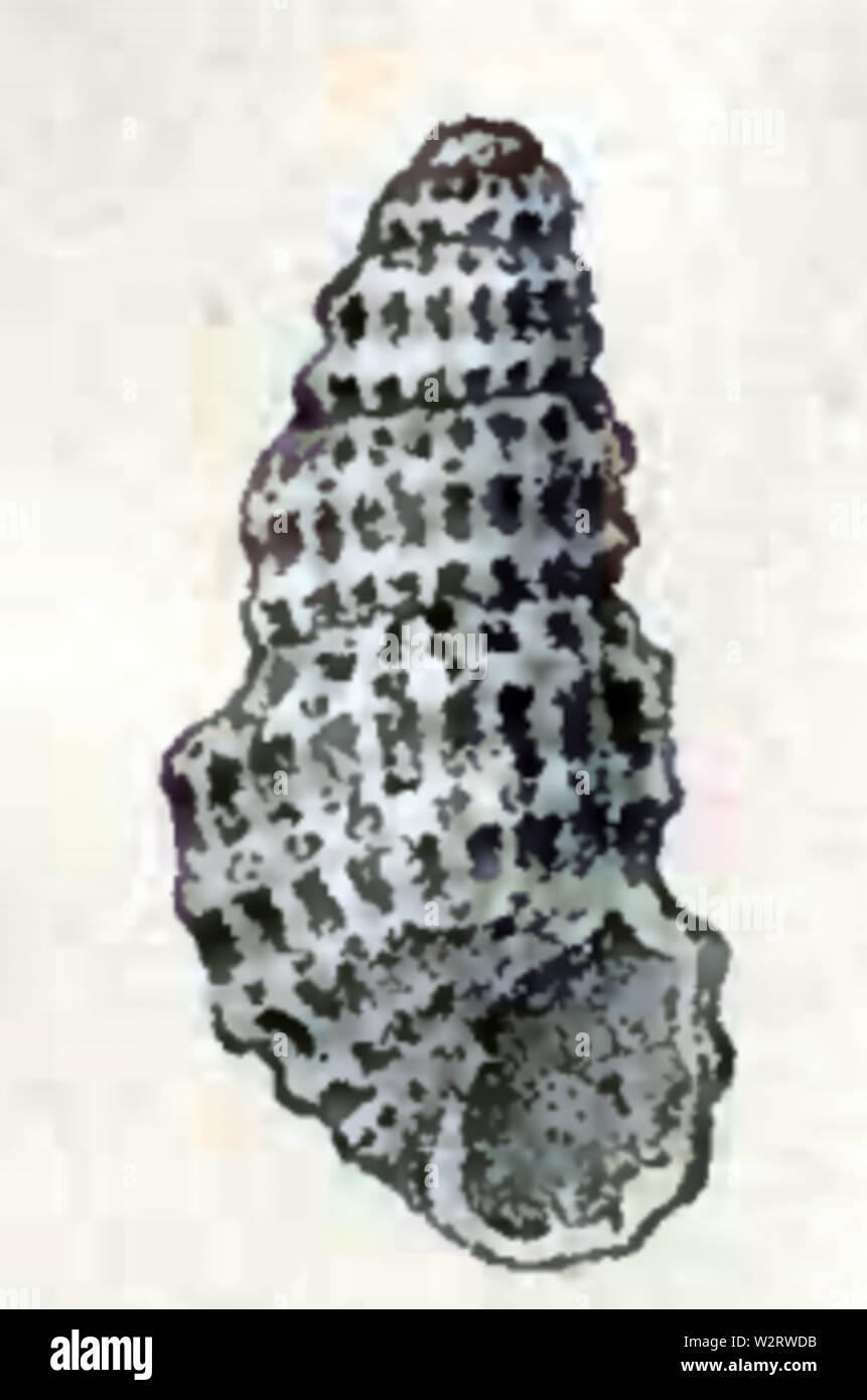 Excavata hi-res stock photography and images - Alamy