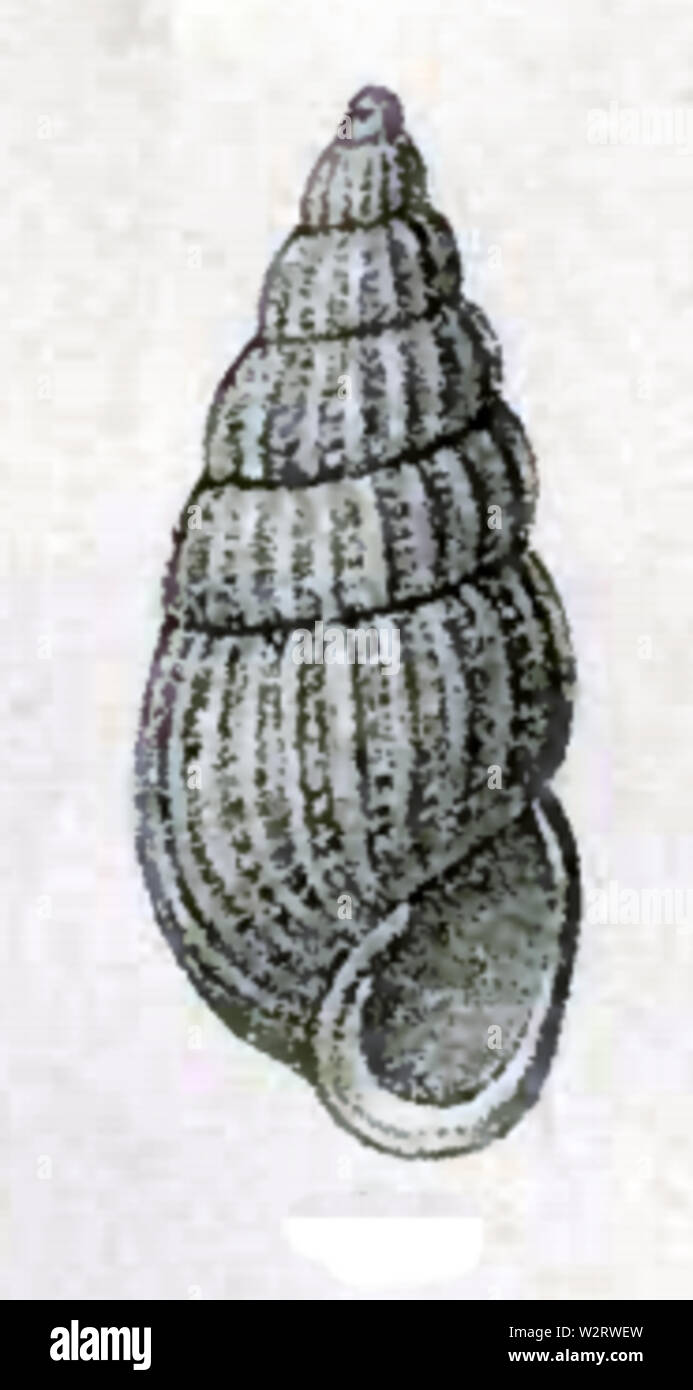 Decorata hi-res stock photography and images - Alamy