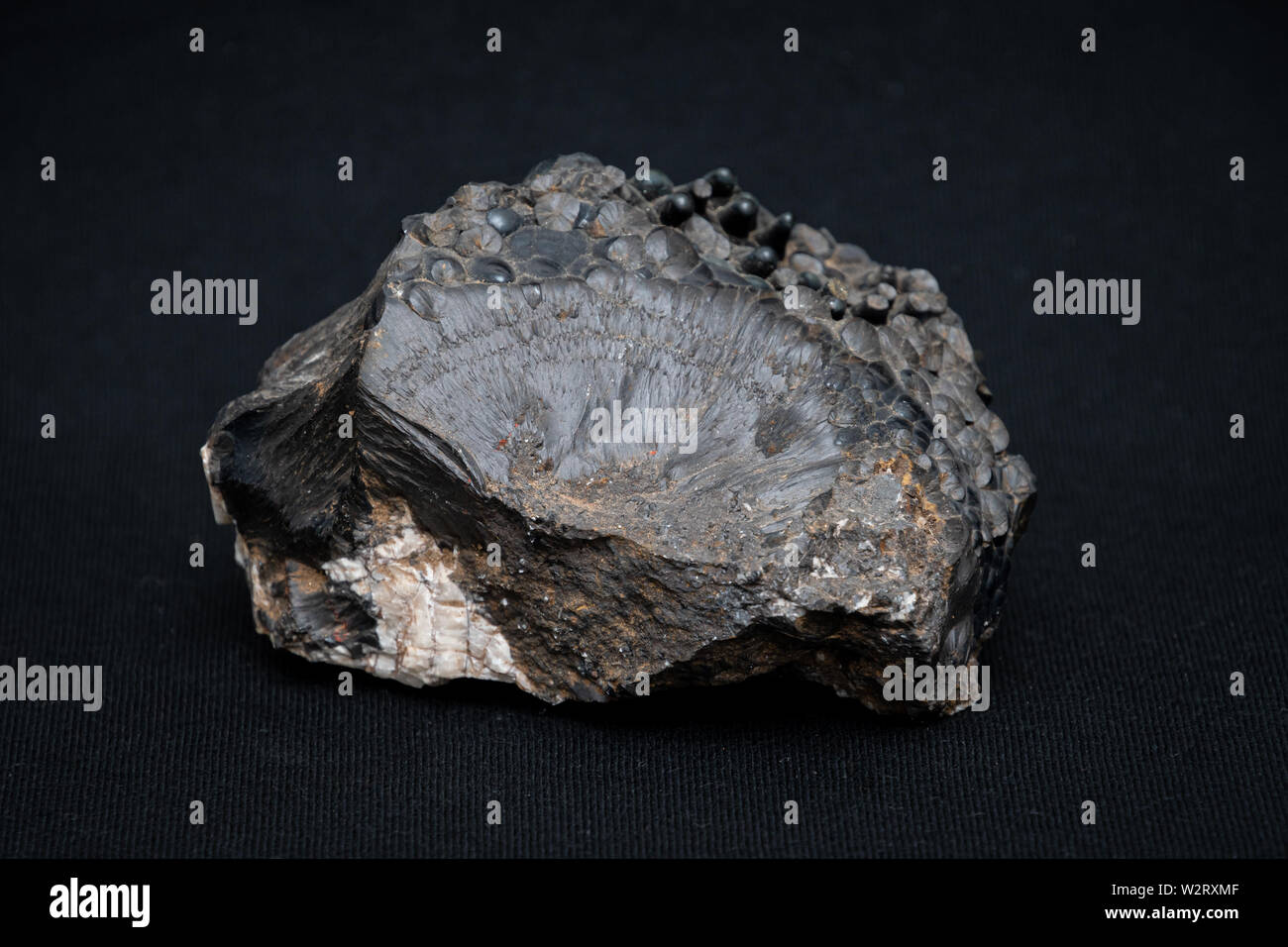 Limonite mineral rock sample hi-res stock photography and images - Alamy