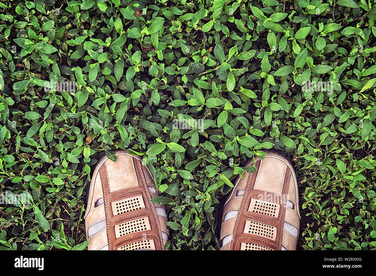 Kids feet grass hi-res stock photography and images - Alamy