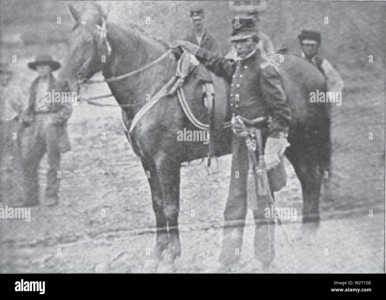 Colonel William H Gibson with horse named Morgan Stock Photo - Alamy