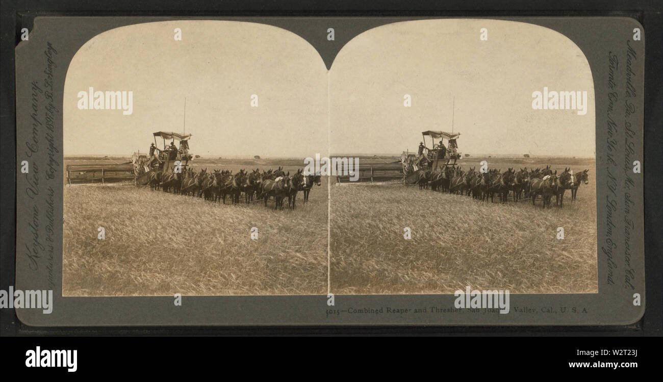 Combined reaper and thrasher, San Joaquin Valley, Cal, USA, by Singley ...