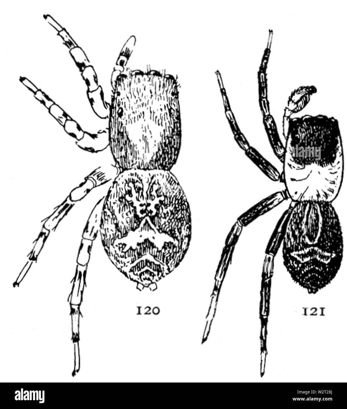 120 1 Black and White Stock Photos & Images - Alamy