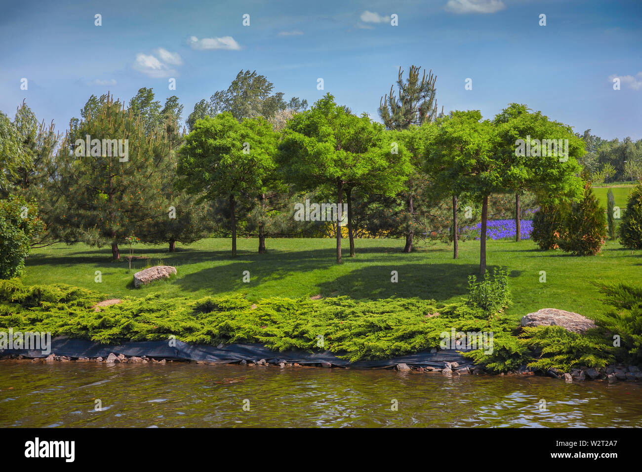 Park landscape, beautiful park by the river Stock Photo - Alamy