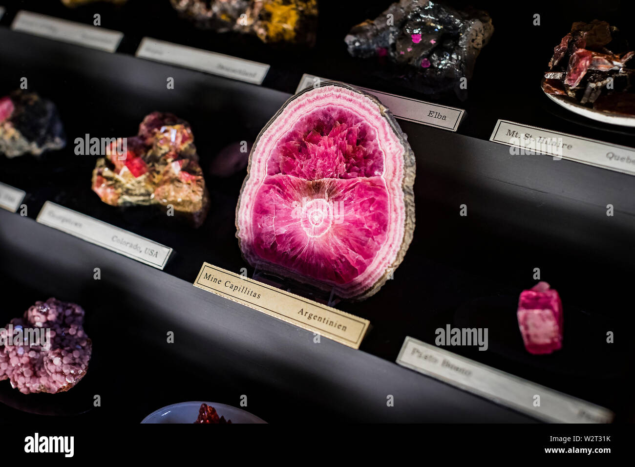 3 SEPTEMBER 2018, VIENNA, AUSTRIA: Collection of minerals of stones and ...