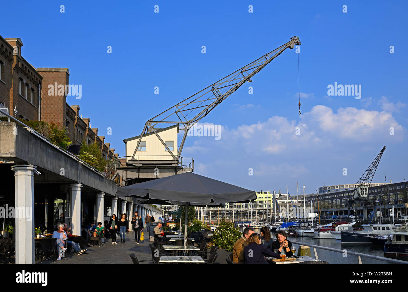 Rotterdam marina entrepothaven hi-res stock photography and images - Alamy